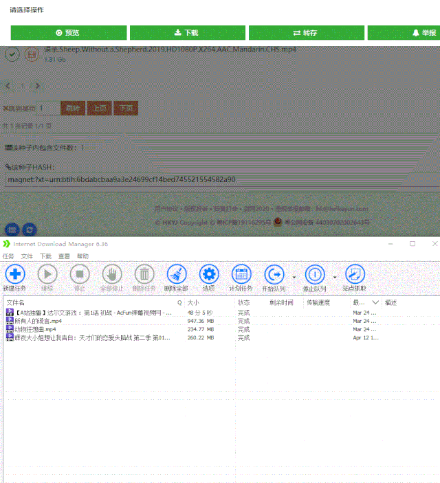 IDM也可以下载磁力链接？（附资源）全程30Mb/s！你不知道的那些IDM妙用！ - 知乎