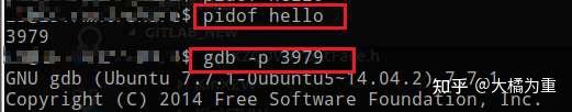 gdb -p调试已经运行的程序 - 知乎