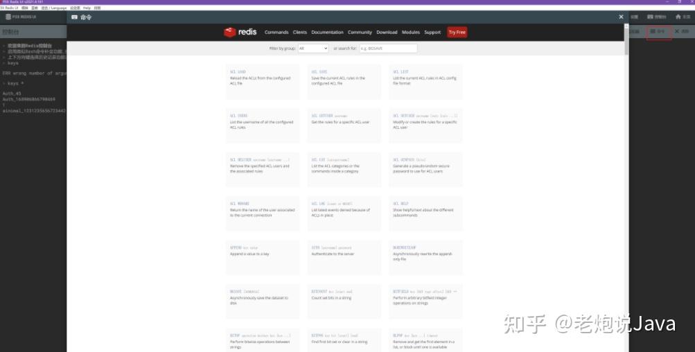 一款全新Redis UI可视化管理工具，支持WebUI和桌面——P3X Redis UI - 知乎