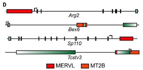 Pandora-Seq - 知乎