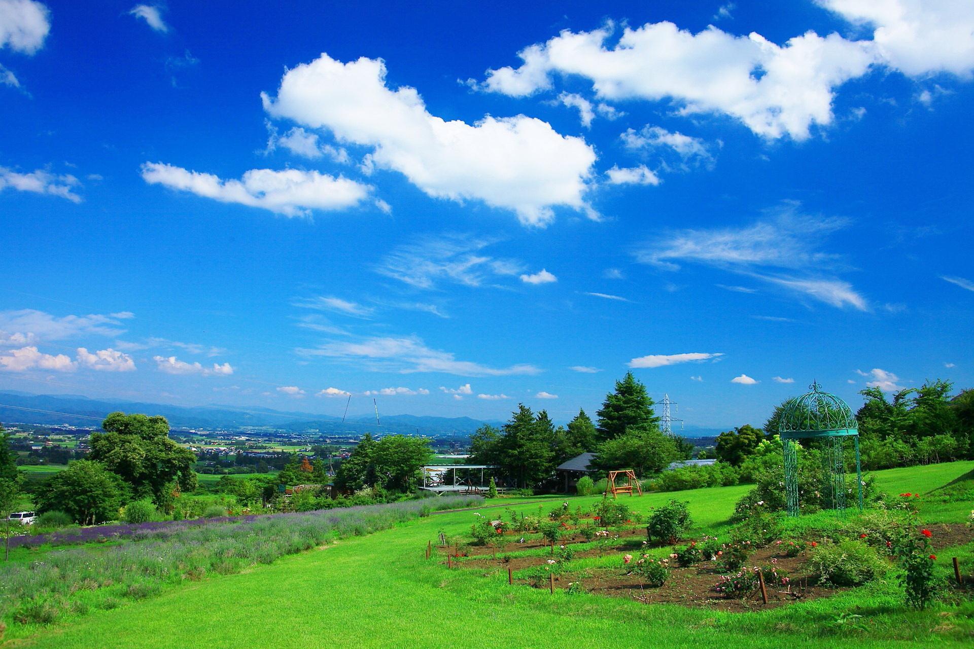 闲鱼新号怎么养号？应该怎么操作养号的方法？ - 知乎