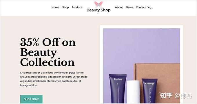 49 个最佳 WooCommerce WordPress 主题 - 知乎