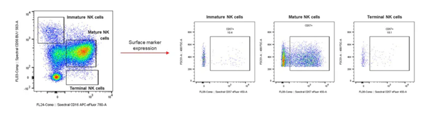 Attune Xenith全光谱流式细胞分析仪：多维革新赋能精准细胞研究 - 知乎