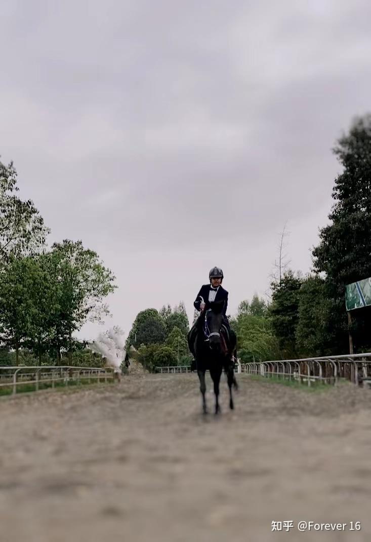 Yasir Bhambhani - 知乎