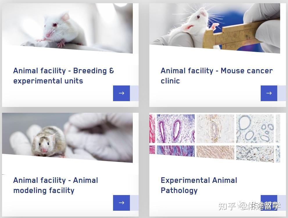 荷兰癌症中心NKI发展历史|优势介绍|博士项目、博士和博士后岗位招聘信息 - 知乎