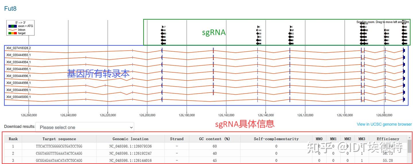 Crispr guide RNA设计——CHOPCHOP使用指南 - 知乎