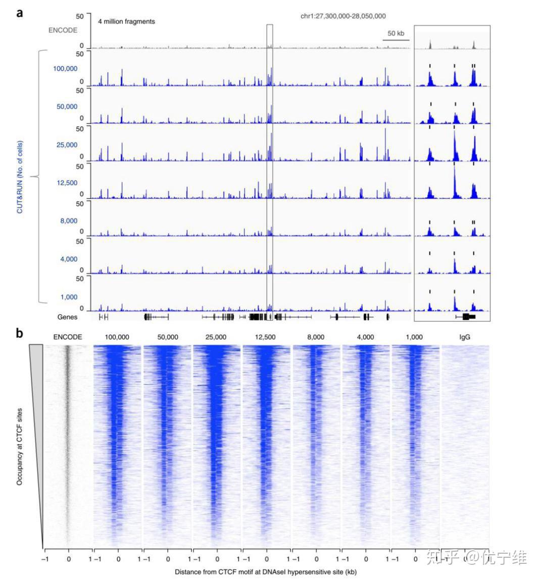 两篇文献带你快速了解CUT&RUN技术 - 知乎