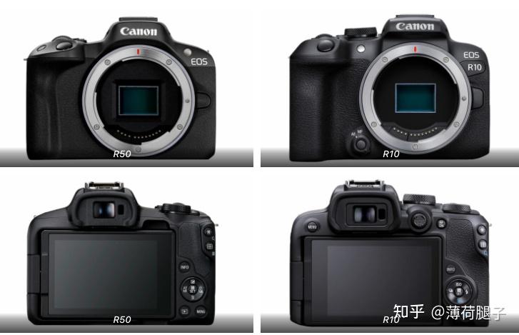 新手选择佳能r10还是r50？