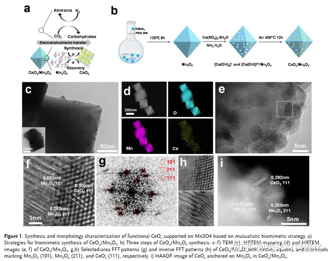 【Angew.Chem.Int.Ed.】Mn-Ce 共生：具有多个活性位点的纳米酶有助于基于电子转移和约束锚定的活性氧清除 - 知乎