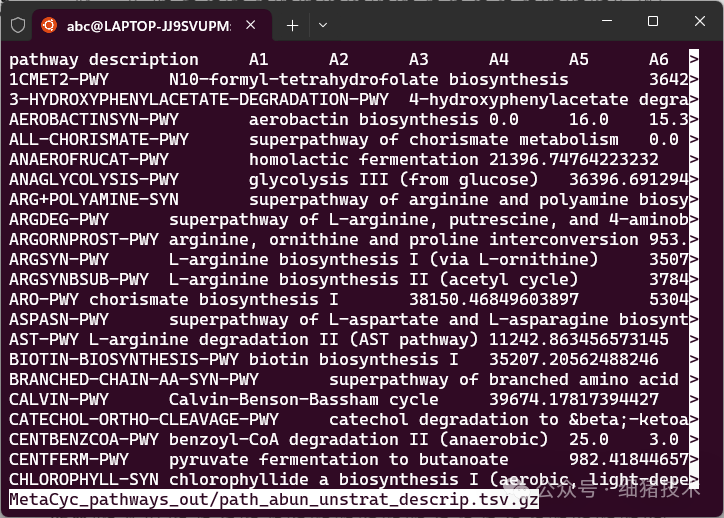 PICRUSt2标准分步分析流程实操 - 知乎