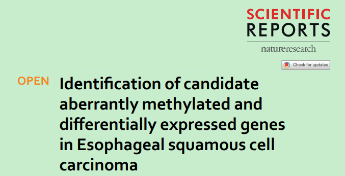 零代码GO富集分析—一张图展示BP,MF,CC - 知乎