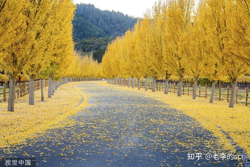 期刊索引的SCI、SSCI、EI、ISTP、ISSHP……都是什么意思 - 知乎