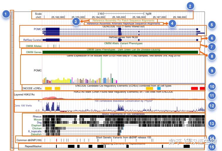 常用网站介绍|基因宝库之UCSC篇（一） - 知乎