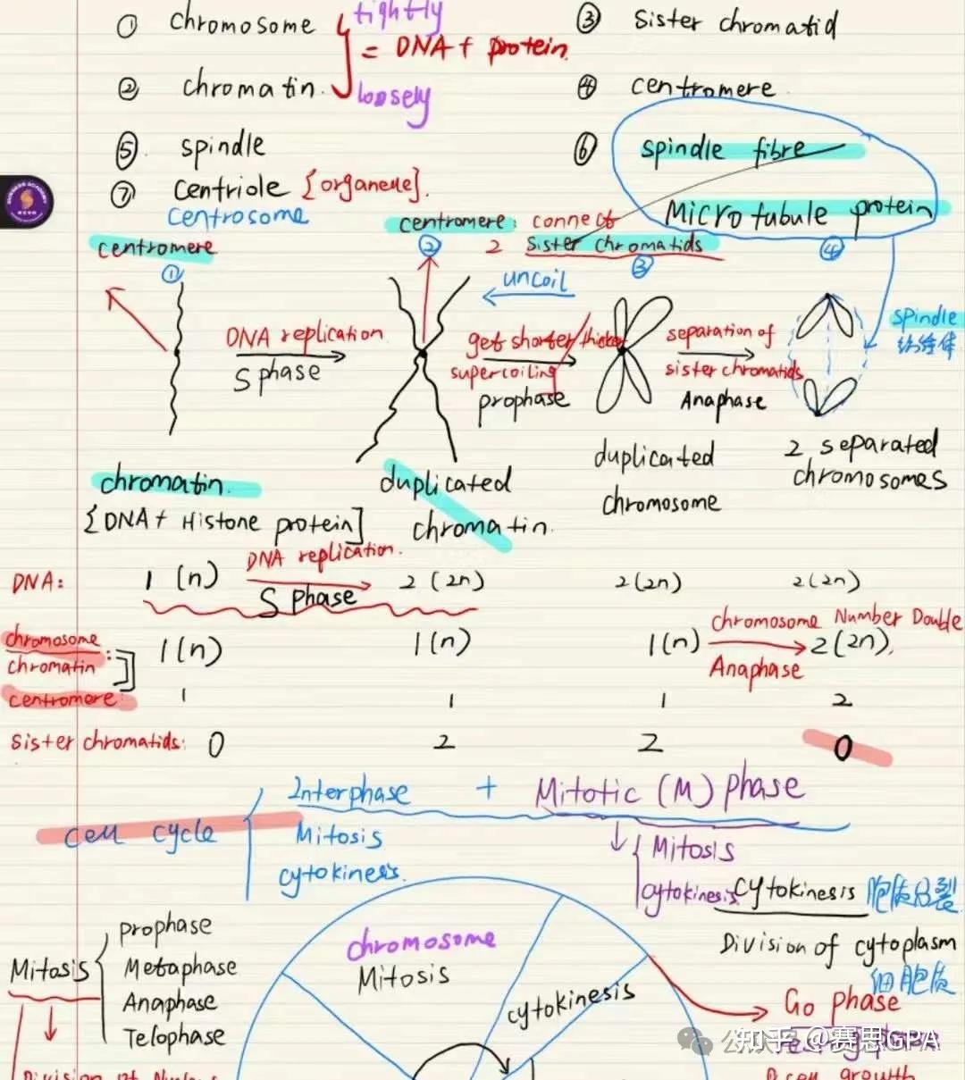 AP生物真爱粉们看过来：《APer备考宝典》解决所有生物重难点！ - 知乎
