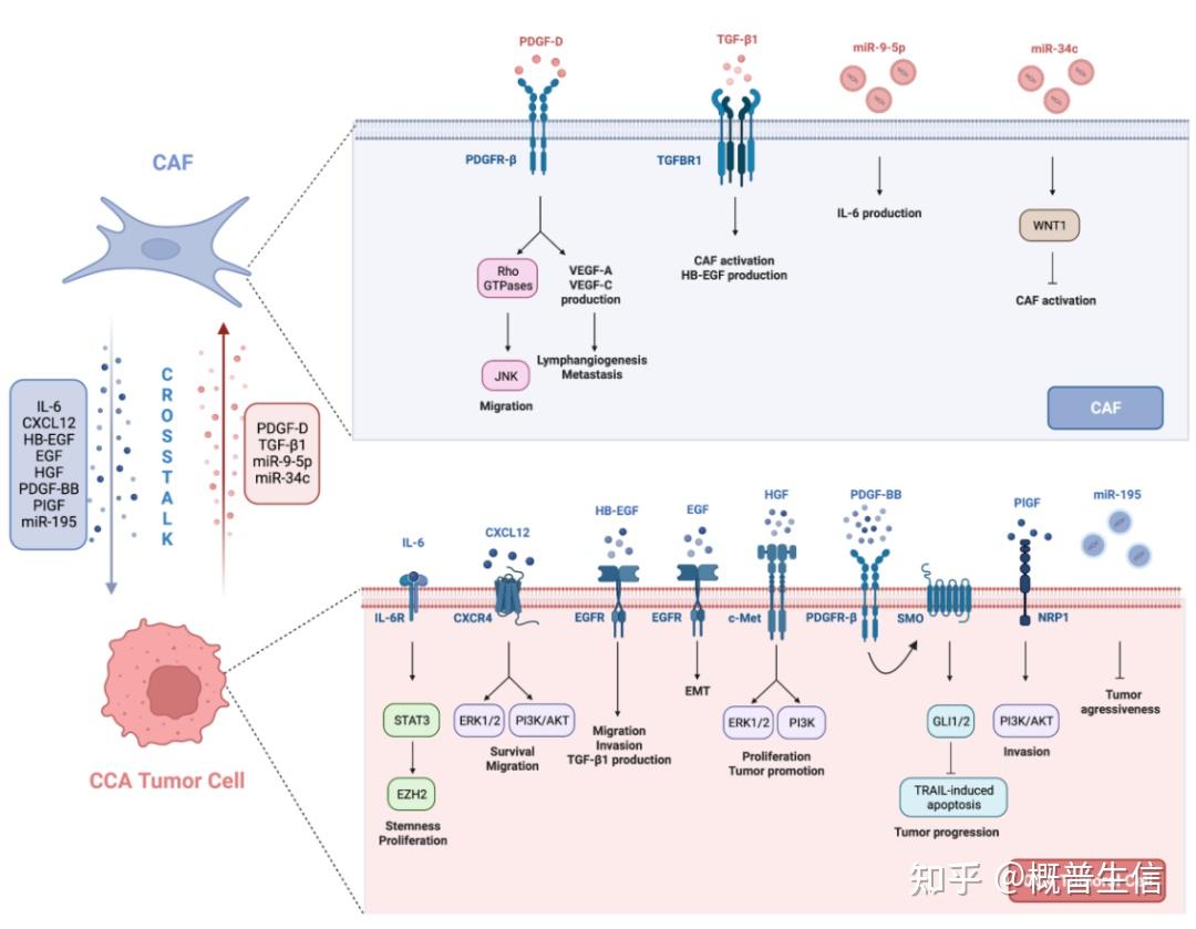 SCI热点 | CAF最强汇总来啦 - 知乎