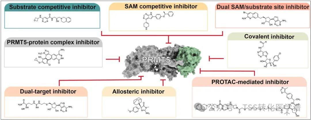 【Cancer Discovery】安进公布第二代 PRMT5 抑制剂(AMG193) 分子发现与药理数据 - 知乎