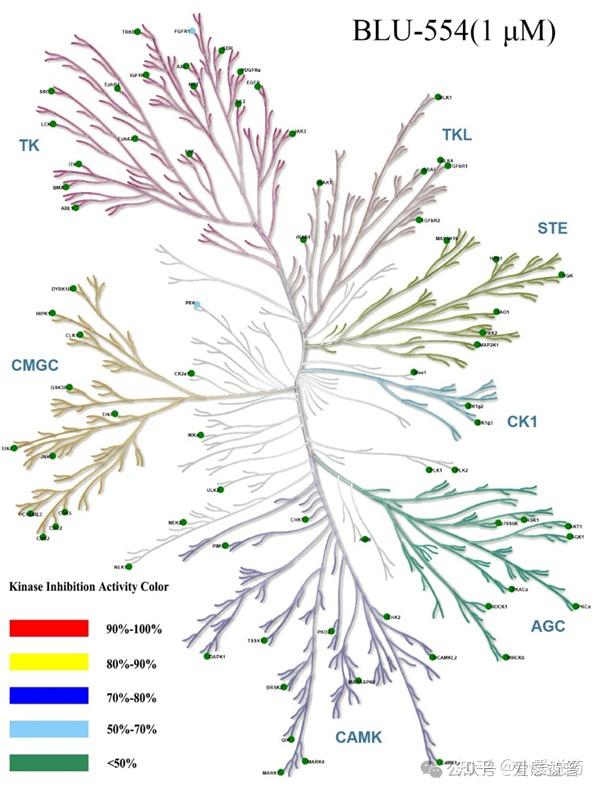 Kinase Panel_激酶谱_爱思益普 - 知乎