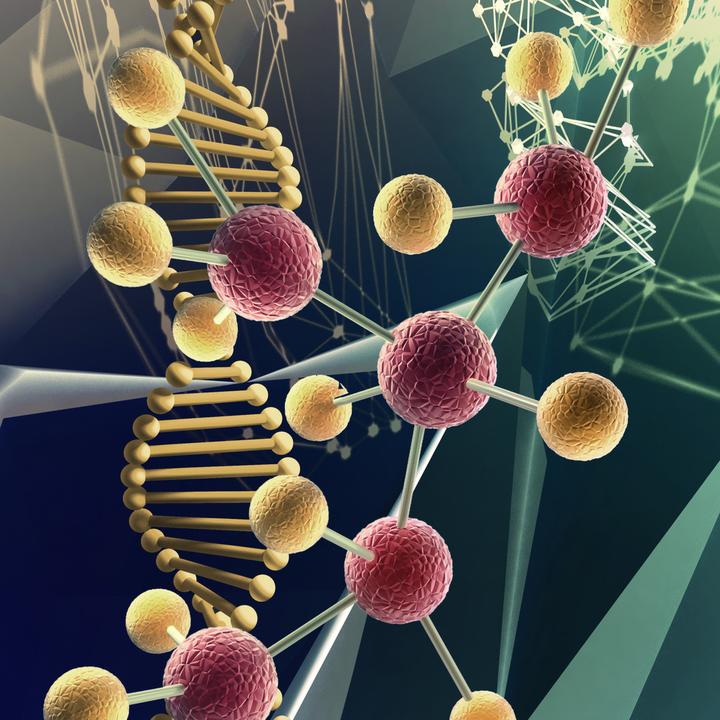 Nature 子刊 | scBERT：用于单细胞RNA-seq数据的细胞类型注释的大规模预训练深度语言模型 - 知乎