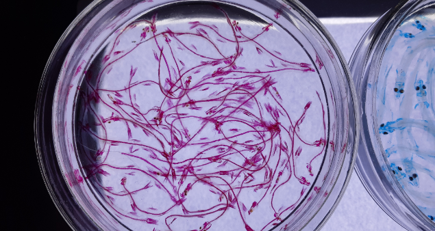 DMEM培养基的pH是多少？ - 知乎