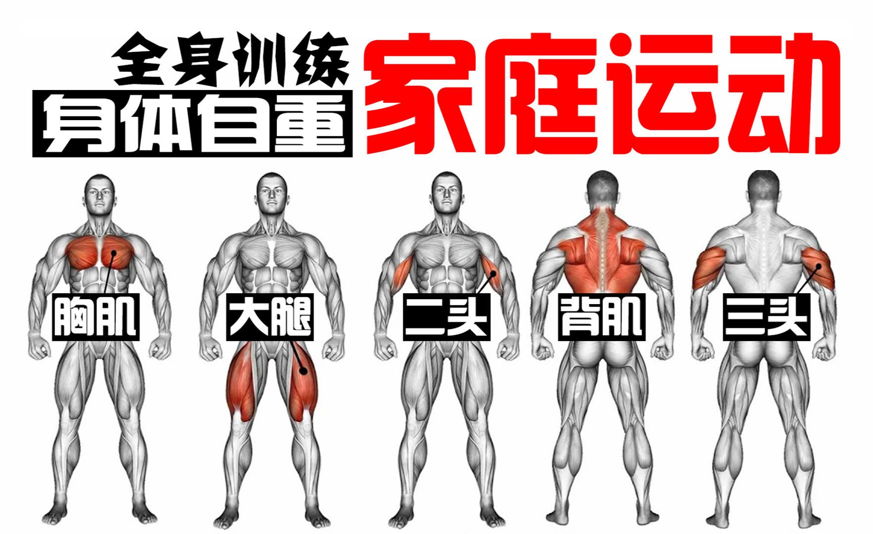怎么样进行徒手健身（自重健身）？ 知乎