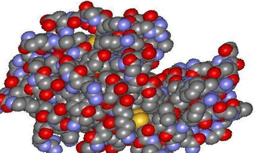 Deferoxamine-PEG-Lectins，Deferoxamine-PEG-Lysozyme，去铁胺-溶菌酶 - 知乎