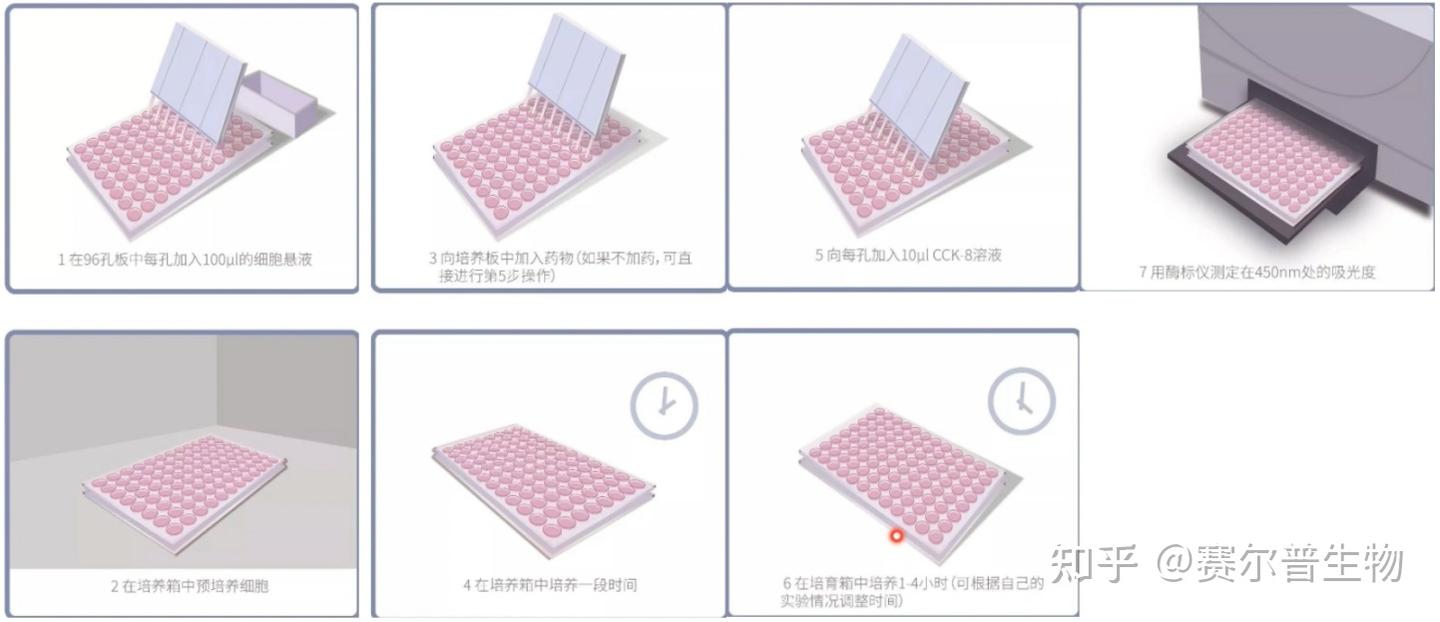 CCK-8检测细胞增殖/毒性实验全流程（包含实验设计和计算公式） - 知乎