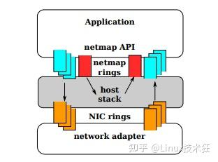 Netmap:一个用于快速数据包I/O的新框架 - 知乎