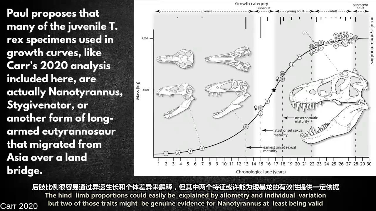 帝王霸王龙：史上最大兽脚类恐龙……还是巨型神话 - 知乎