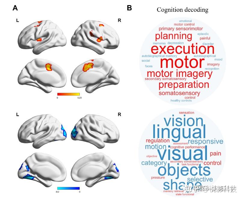 Cerebral Cortex:将功能连接梯度与个体创造力联系起来 - 知乎