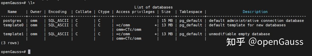 详解openGauss客户端工具gsql的高级用法 - 知乎