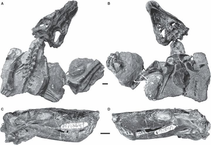 第二百五十六回 百兽图9：白云苍狗 - 知乎