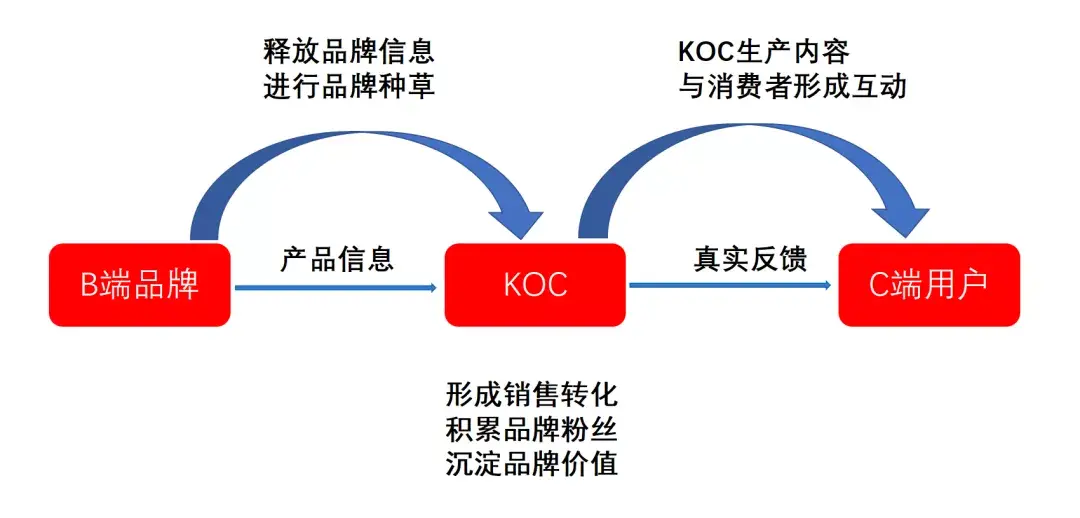 深度解析 | 品牌的小红书投放，到底选KOC还是KOL？ - 知乎