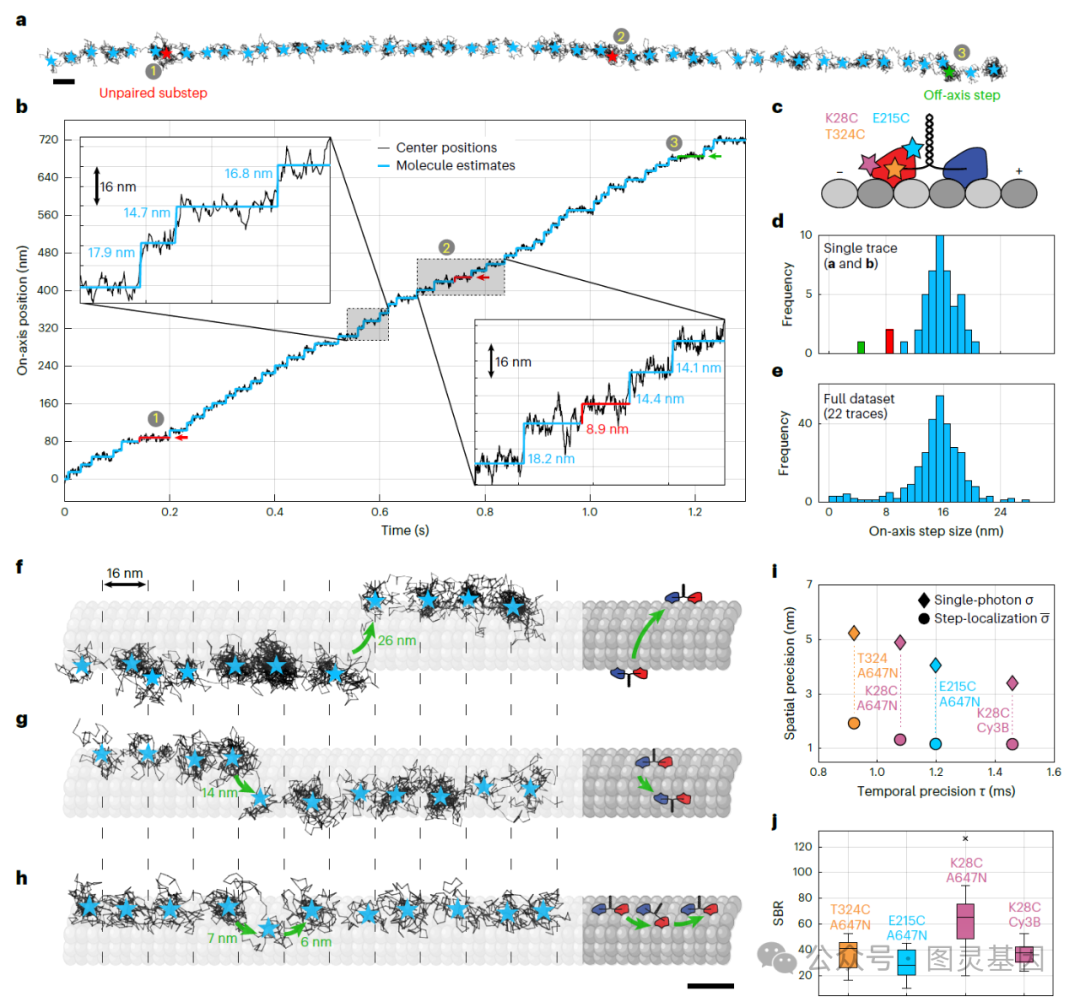 Nat Met ｜ 德国科学家开发纳米/毫秒时空精度标记生物分子的方法 - 知乎
