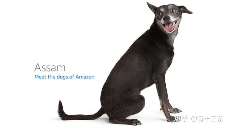 【多图预警】亚马逊Listing变成的狗到底有多少只？ - 知乎