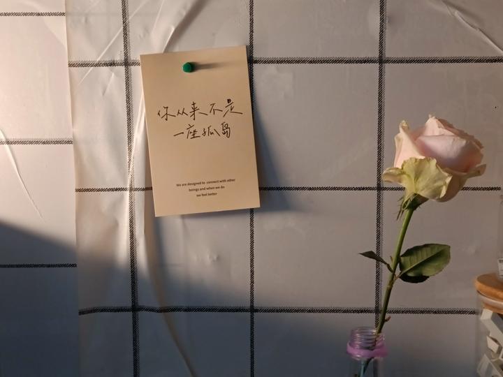 Codeforces Round #842 (Div. 2) A-E - 知乎