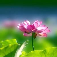 MISRA C概述 - 知乎