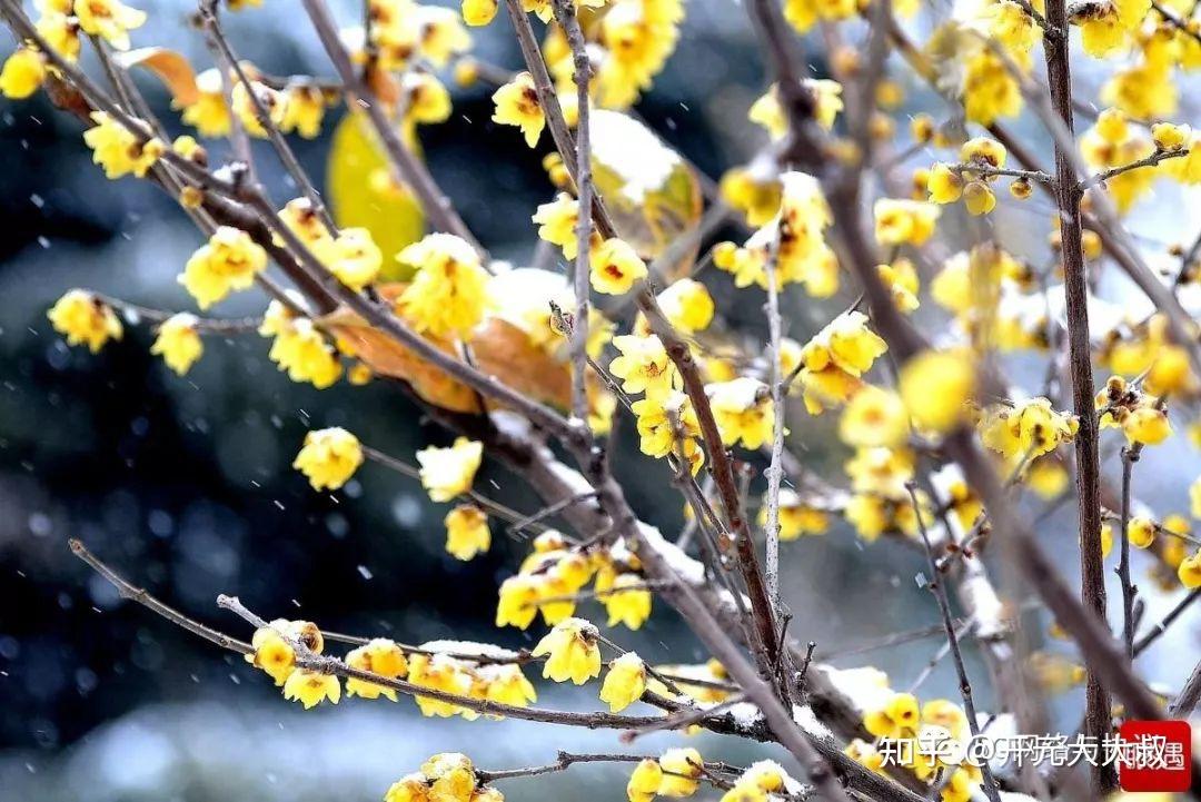 5G SA 同频Inter-gNB切换消息总结（NG-based,SSB测量) - 知乎