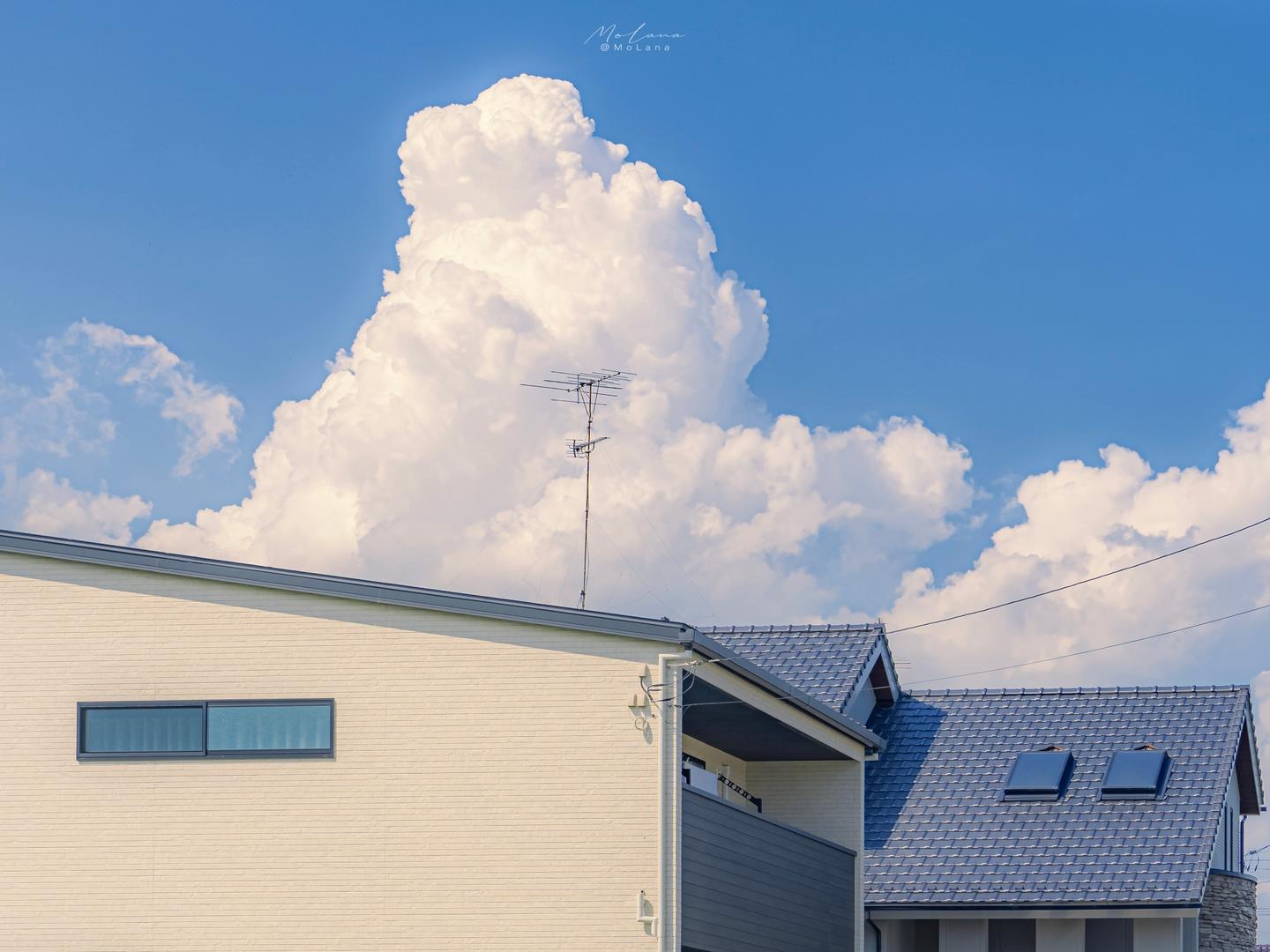 让人用了很久的电脑壁纸？ - 知乎