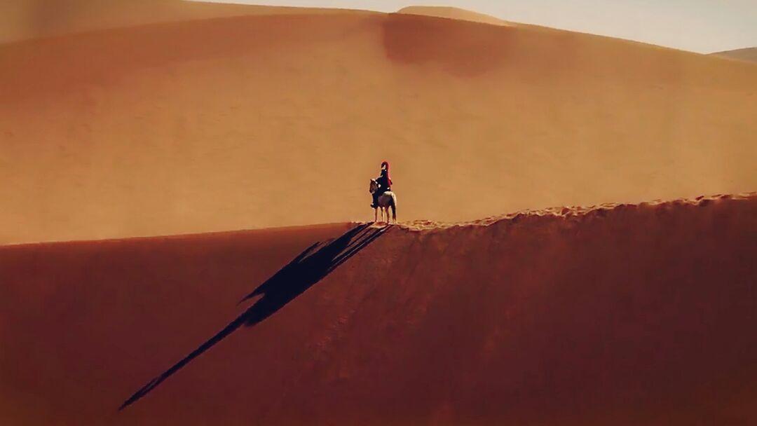 如何评价电影《坠入 / The Fall》？ - 知乎