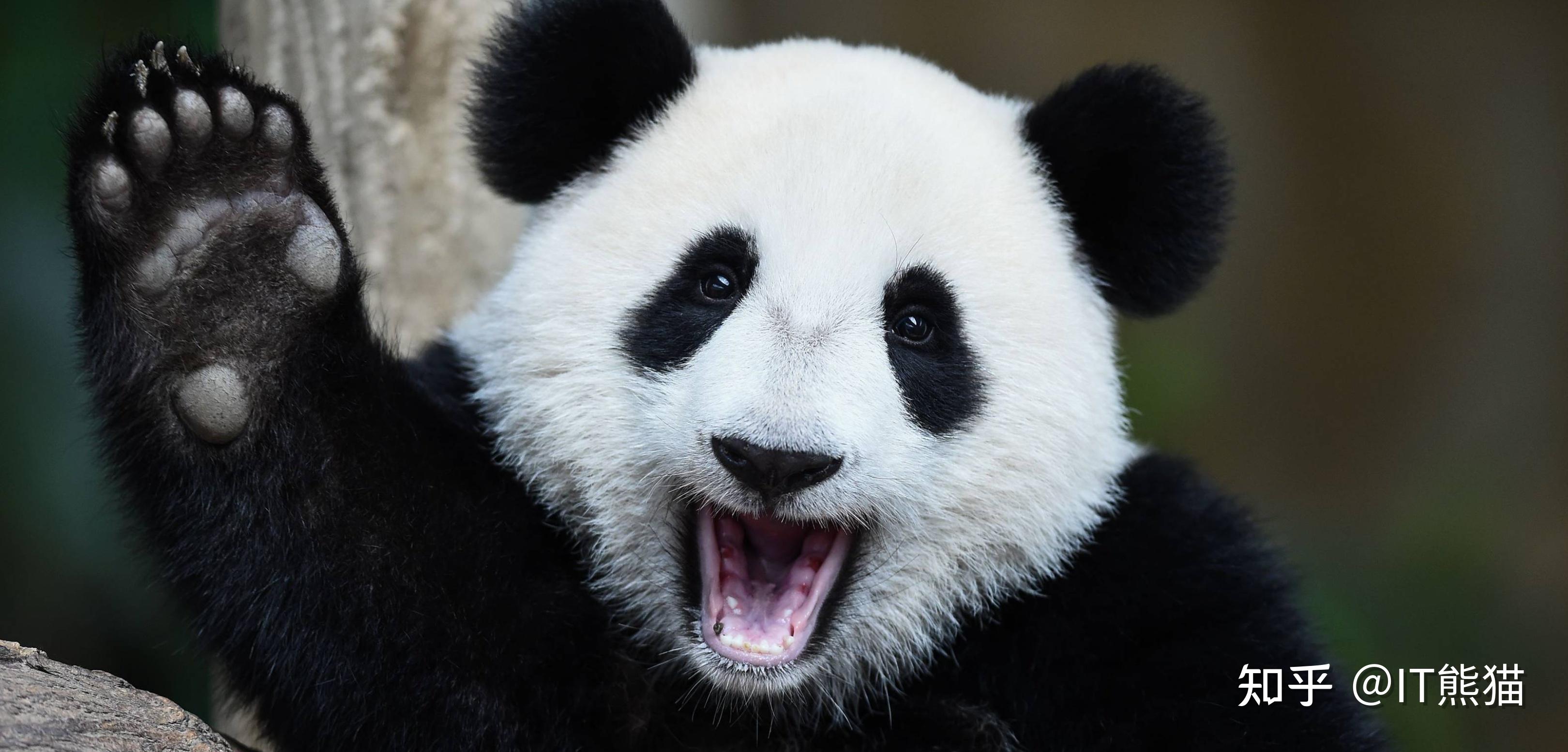 VNPY3.0解析——K线合成 - 知乎