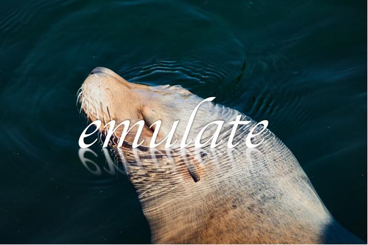 小词详解 | emulate - 知乎