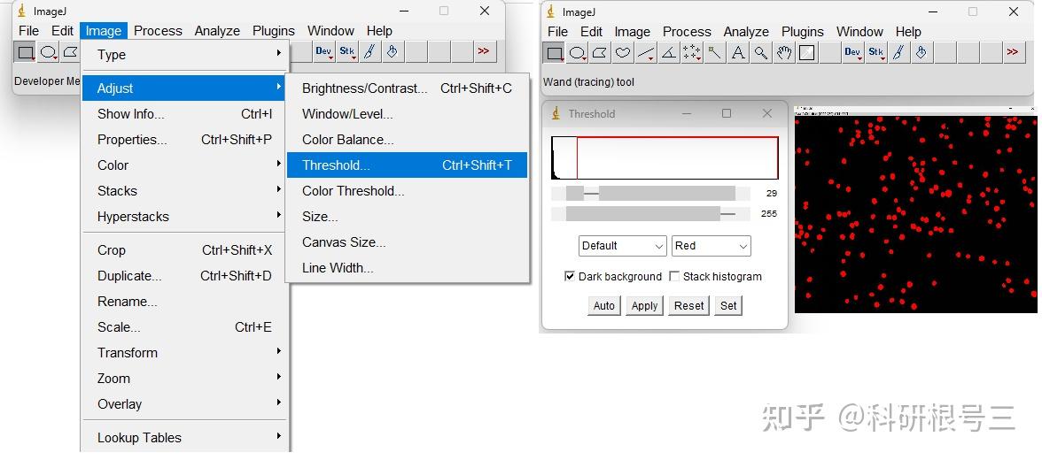 用 ImageJ 测量荧光强度的3种方法 - 知乎