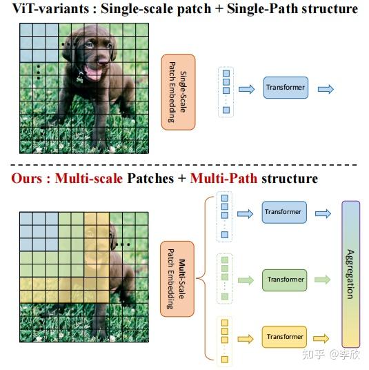 【CVPR2022】MPViT : Multi-Path Vision Transformer for Dense Prediction - 知乎