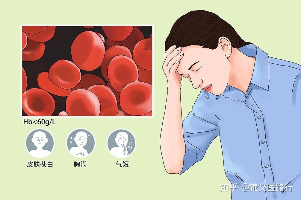 贫血和低血糖有什么区别？分不清，没测过血糖? - 知乎