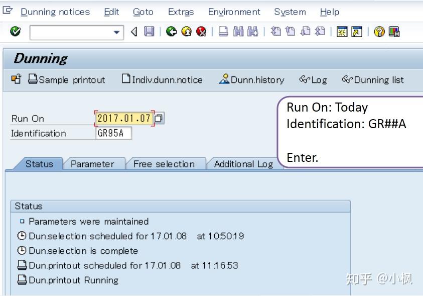 SAP FICO Lecture 18_Dunning - 知乎