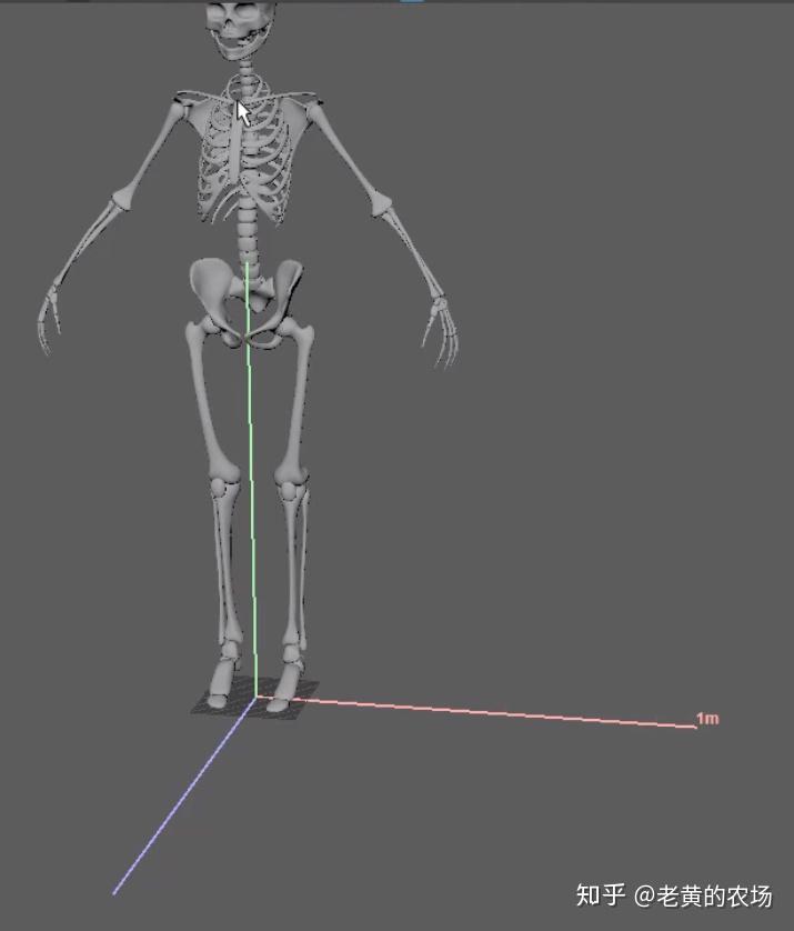 Maya-Ziva 肌肉插件学习笔记 - 知乎