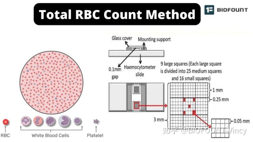 关于各类细胞计数方法的深度总结 - 知乎