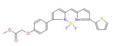BODIPY TR methyl ester的使用方法介绍，150152-63-9 - 知乎