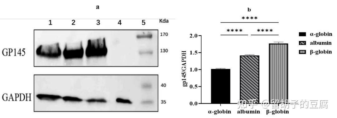 你必须知道的mRNA疫苗5'UTR序列筛选流程 - 知乎