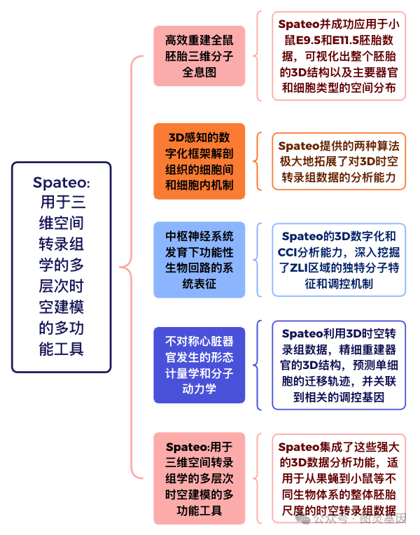 Cell ｜ 斯坦福华大团队量化发育时空动态过程 - 知乎